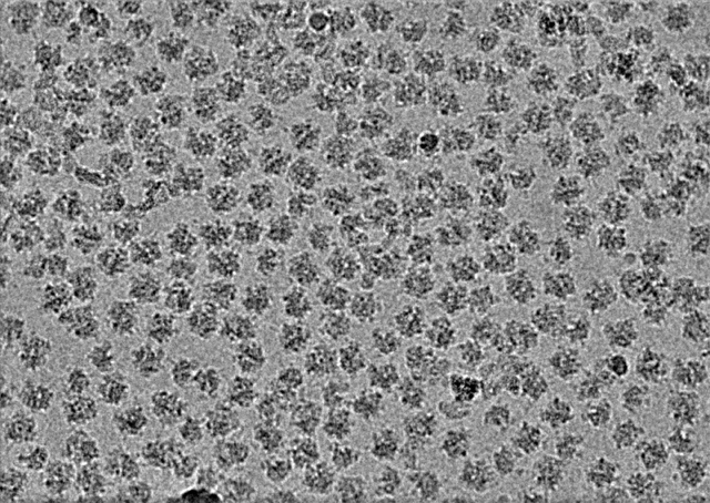Translation Mechanisms | Structural Biology of the Cell Laboratory (BIOC)